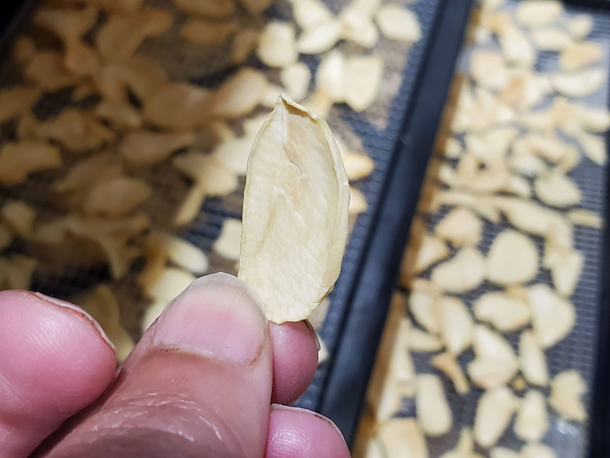 Make Garlic Powder by Dehydrating Garlic - Countryside